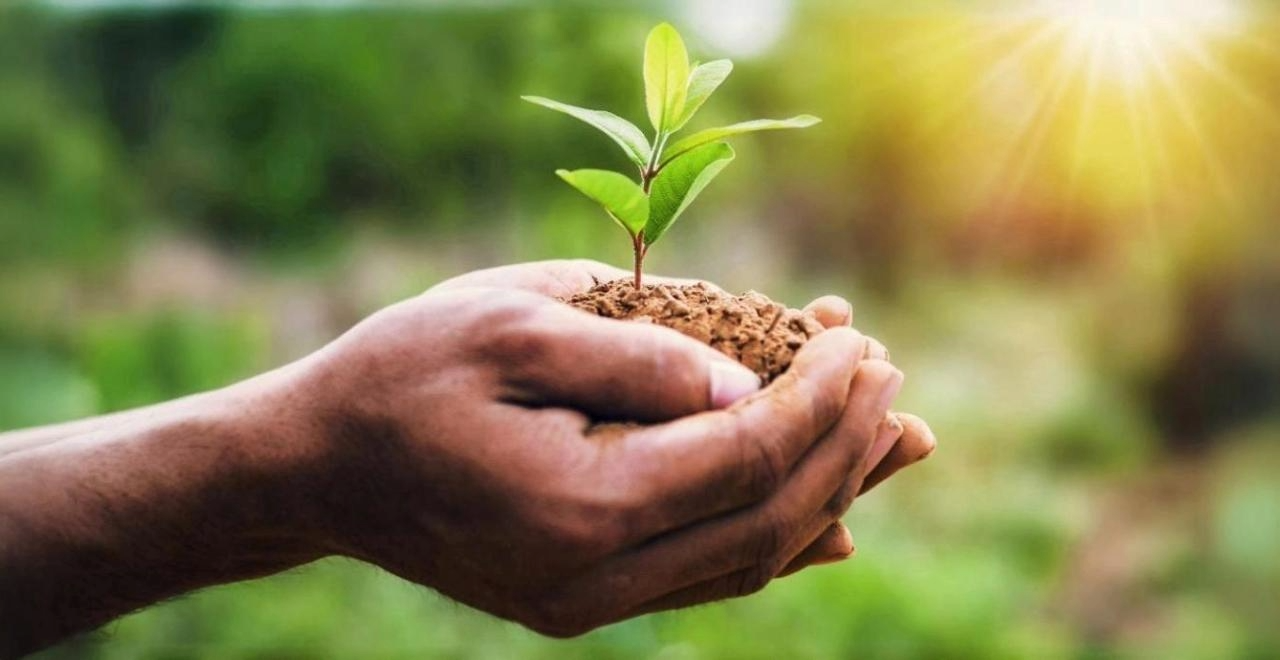 Bio-Siegel – wir erklären die Unterschiede der Bio-Logos